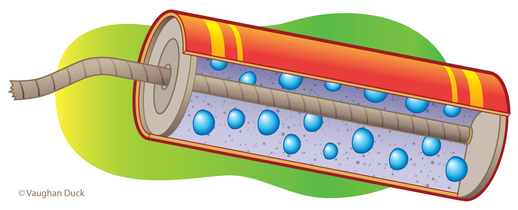 Cross-Sections – Vaughan Duck