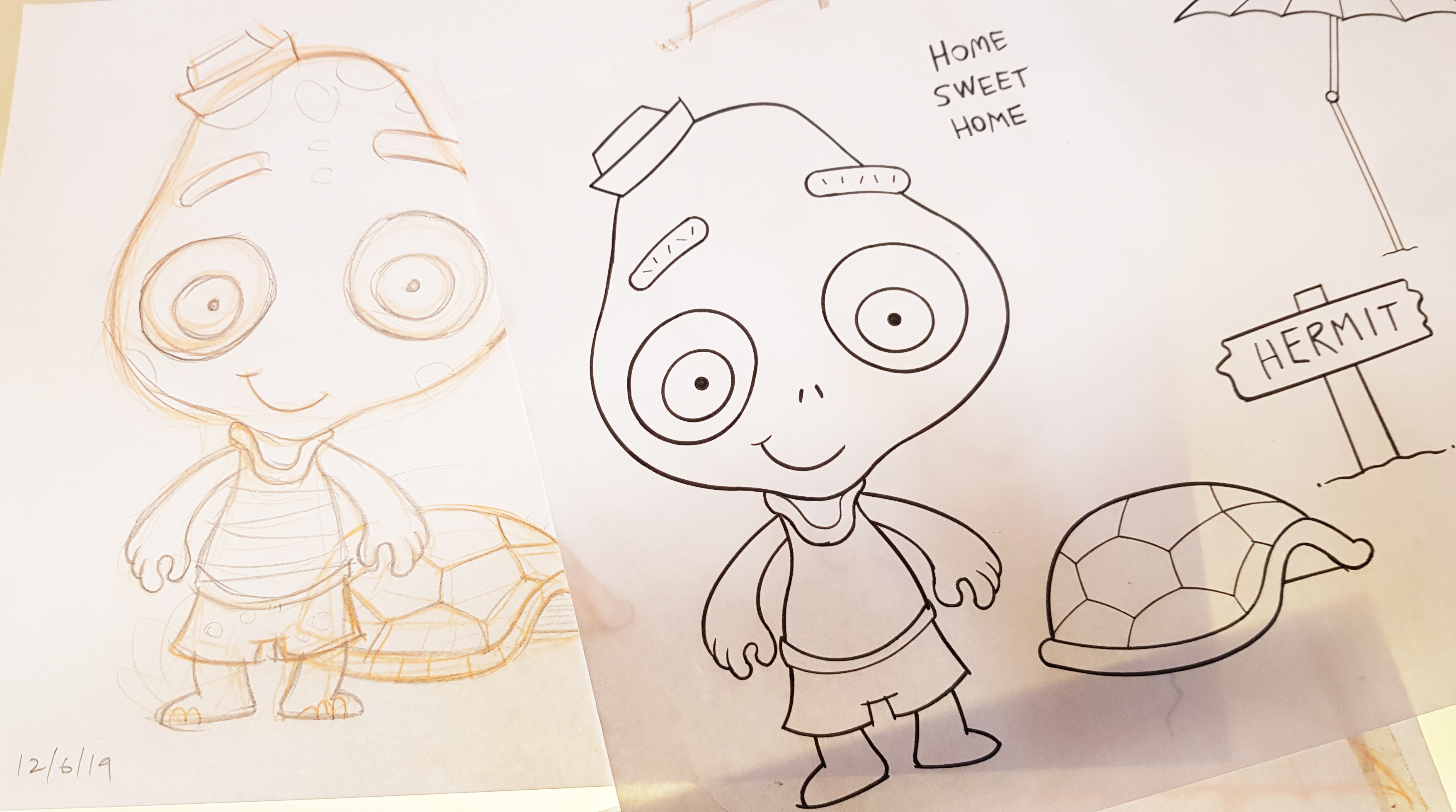 How I Illustrate a Tortoise – Vaughan Duck